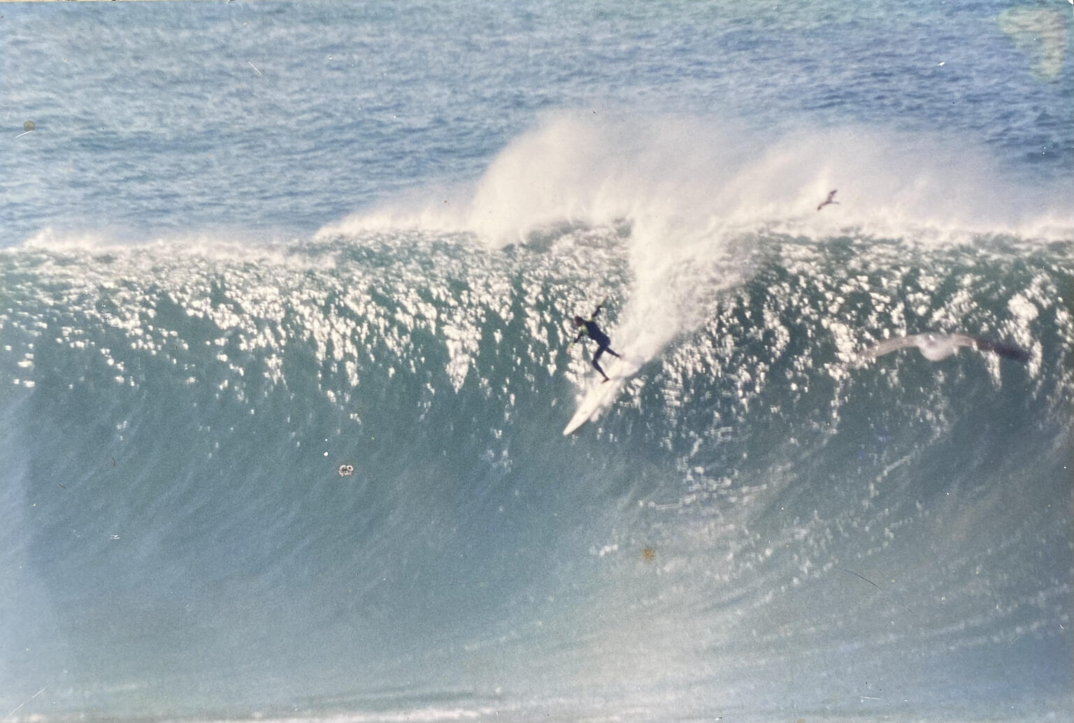 Surf Lessons – Norcal Surf Shop